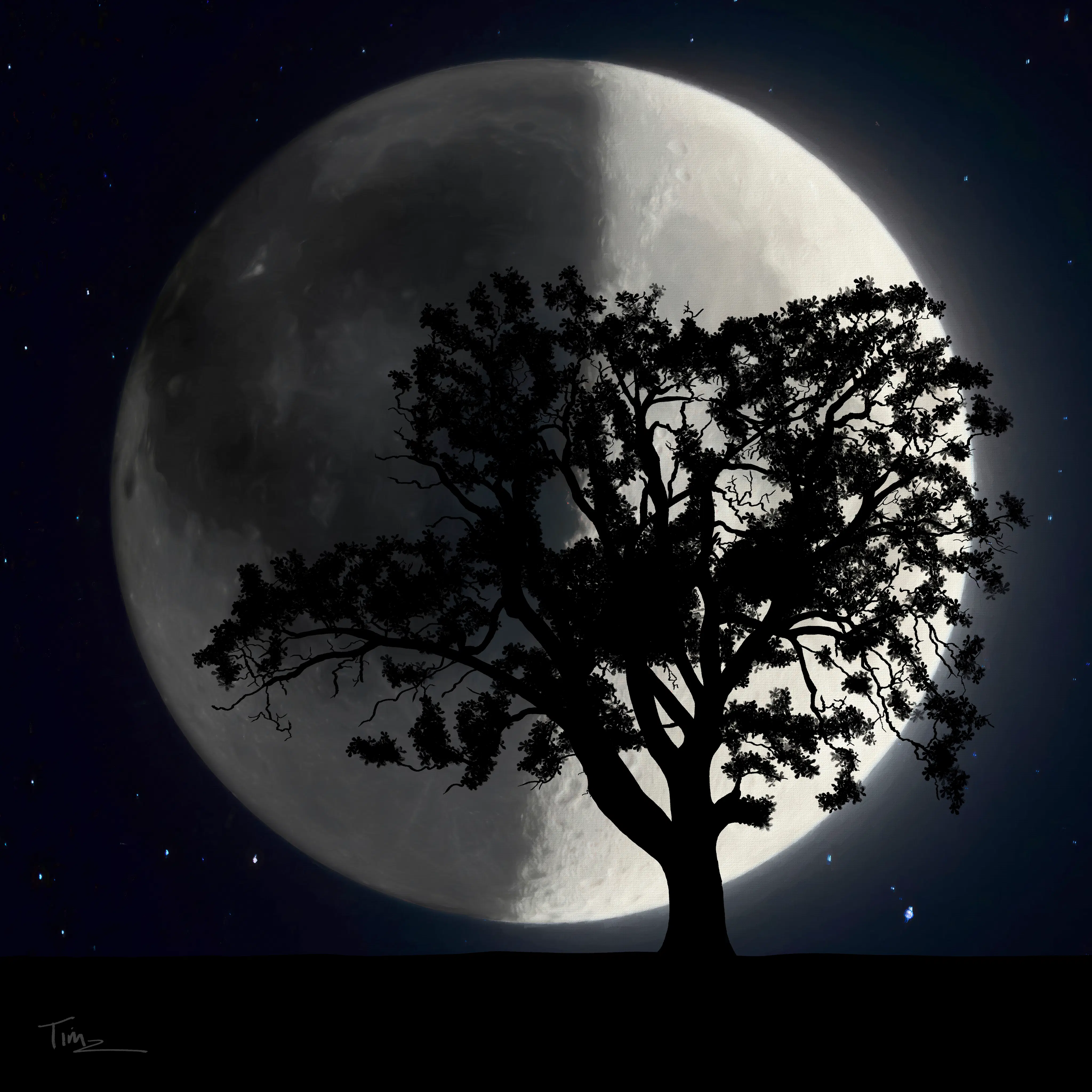 Oak Moon | Moongazing by Tim_the_Sleeper