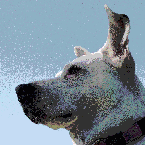 1. Red Riding Hood, the next day. | Create for Animals Kickstarter 7